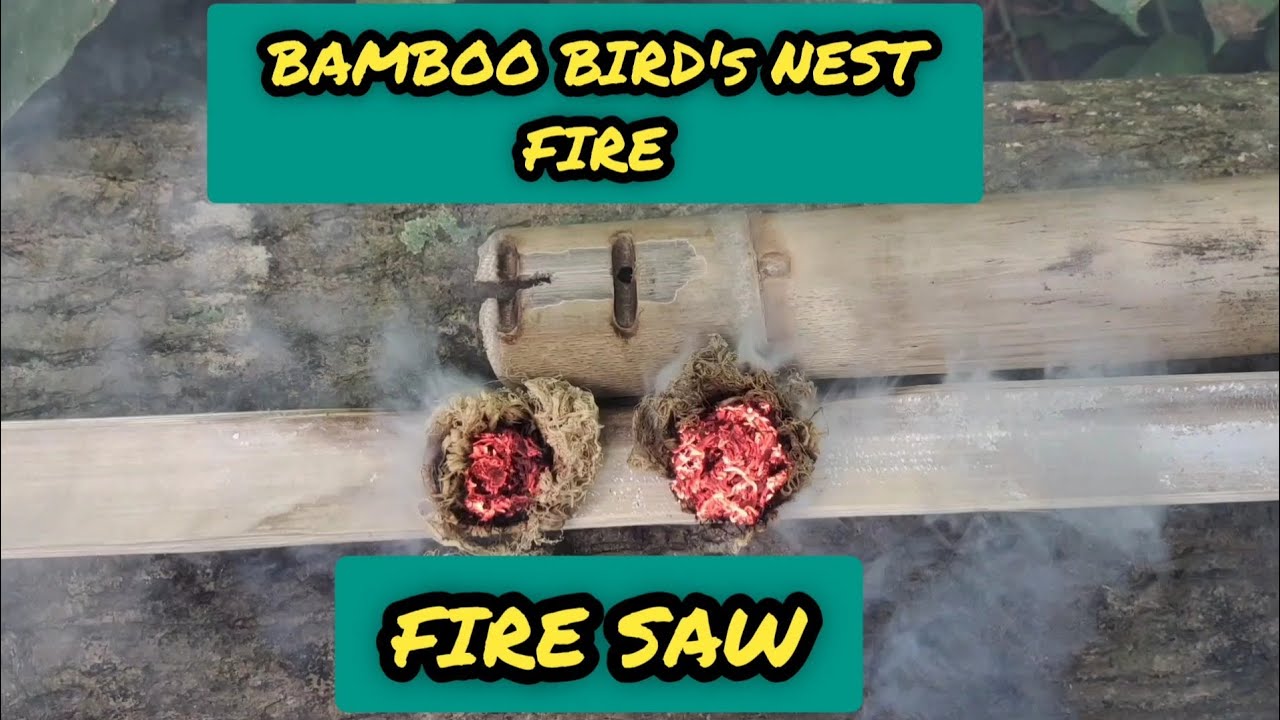 Bamboo Fire Saw uses a Split Fire Board and a Hole - YouTube