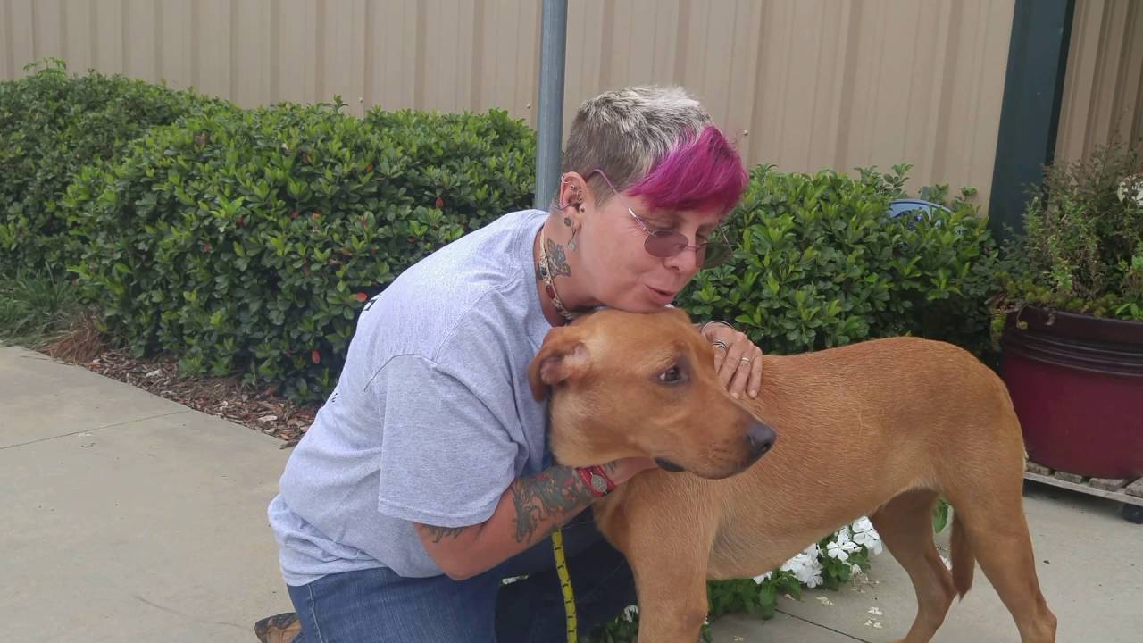 Oconee Humane Society, Seneca SC - YouTube