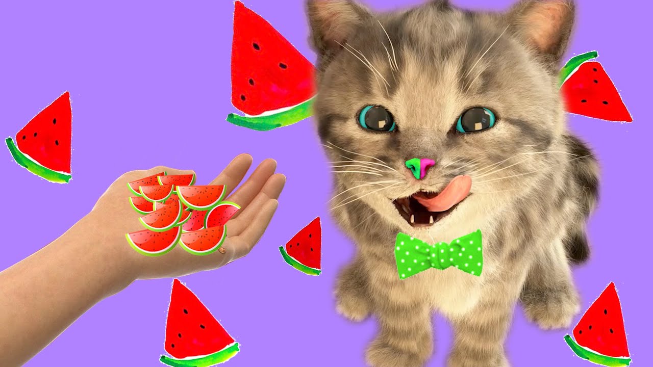 STORY LITTLE KITTEN ADVENTURE - FUN BABY KITTEN ANIMATION MINI GAMES ...
