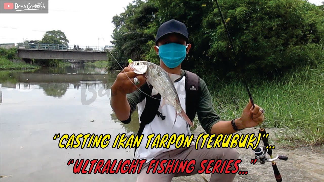 CASTING IKAN TERUBUK | BULAN BULAN | TARPON | DI SPOT SUNGAI MARELAN ...