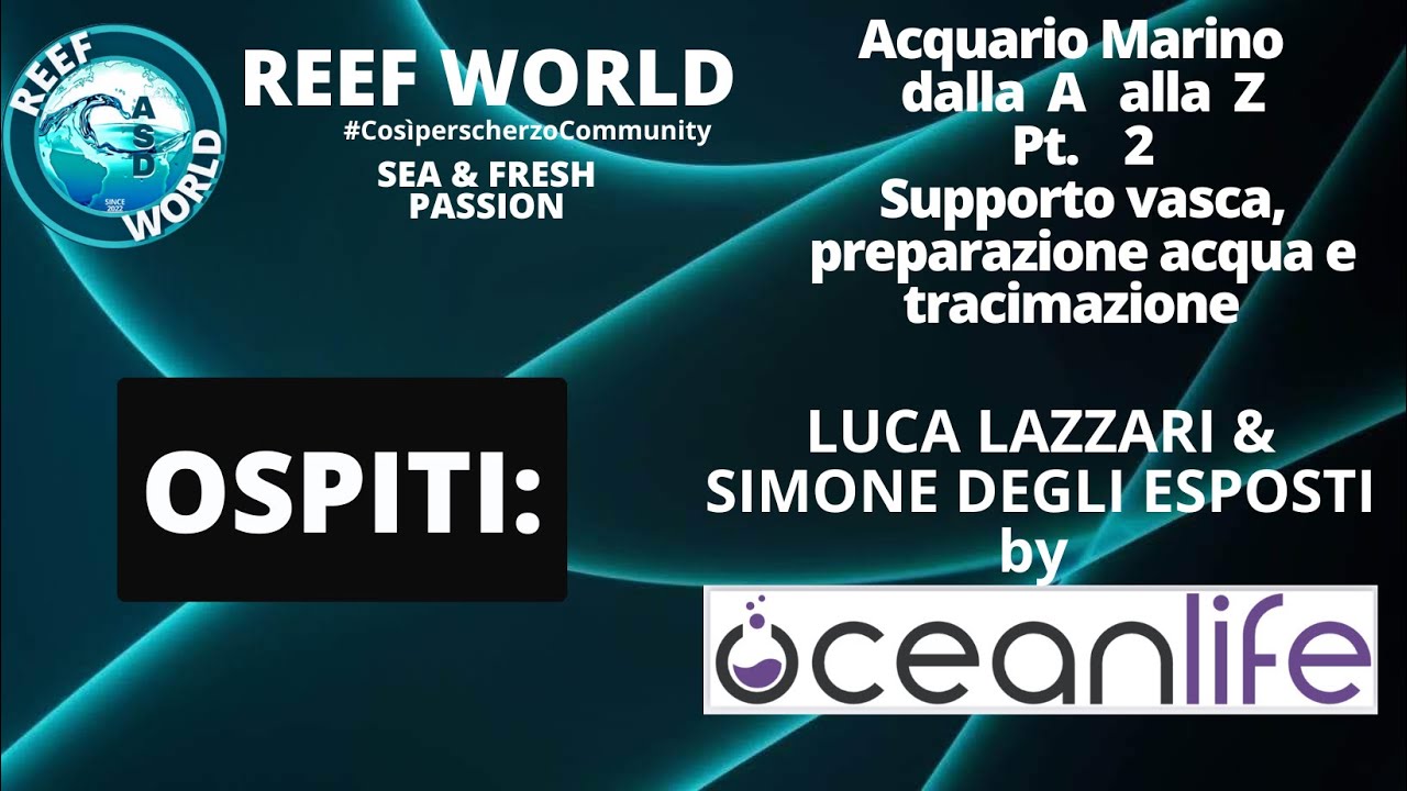 Acquario marino dalla A alla Z pt.2 - Supposto vasca. preparazione ...