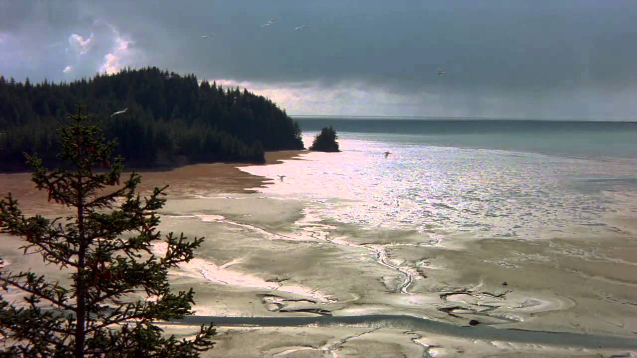 Nature Immersion Experience - Echoes of Creation - Official Trailer ...