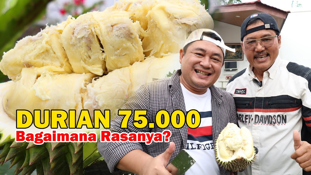 DURIAN HARGA 75 RIBU !! DURIAN LOKAL LAMPUNG - YouTube