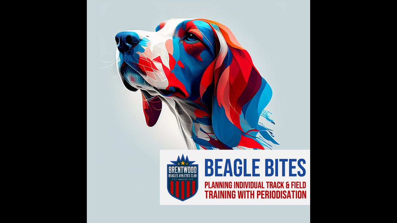 Beagle Bites What Is Periodisation YouTube beagle-bites-what-is-periodisation-youtube