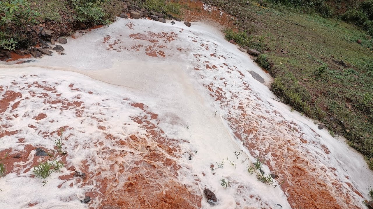 ବିଷାକ୍ତ ପାଣି // ପାଣି କଳା ପାଣି // - YouTube