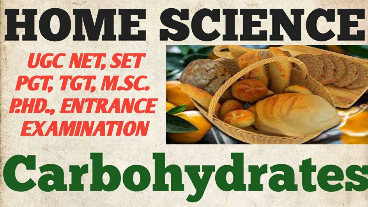 Home Science# Food & Nutrition # lecture 11 - YouTube