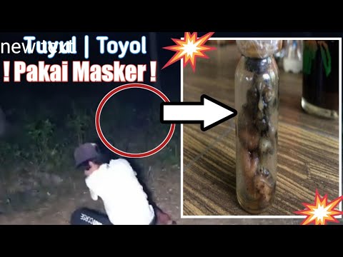 Menjerat toyol/tuyul sampai dapat !!! - YouTube