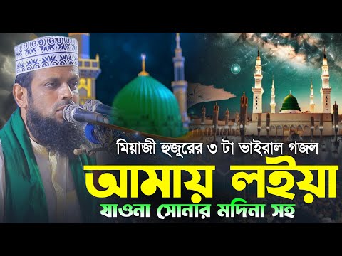 মিয়াজী হুজুরের সেরা ভাইরাল গজল ভৈরবের জমিনে ! মুফতি আবুল হাশেম শাহ্ মিয়াজী আল আবেদী ! ROYAL TV 24