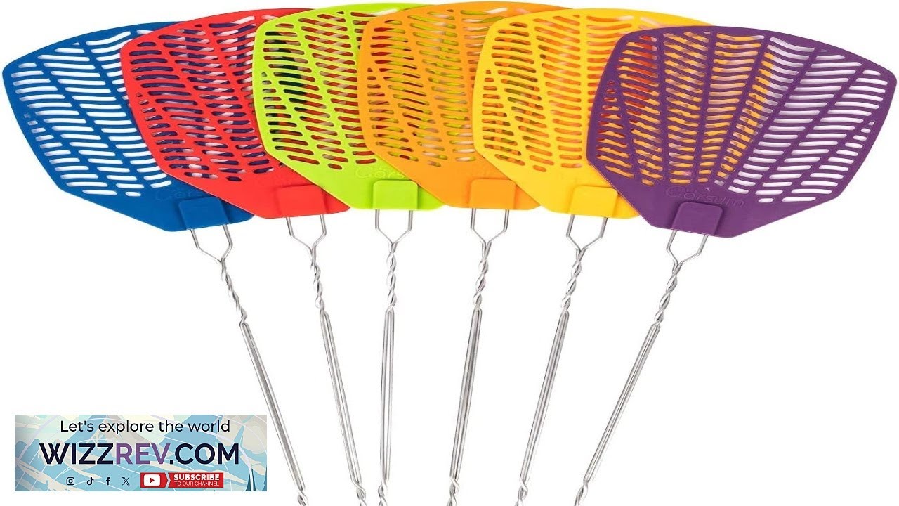 Garsum Fly Swatters 6 Pack Strong Multi PackLong Handle DurableFly Swat ...