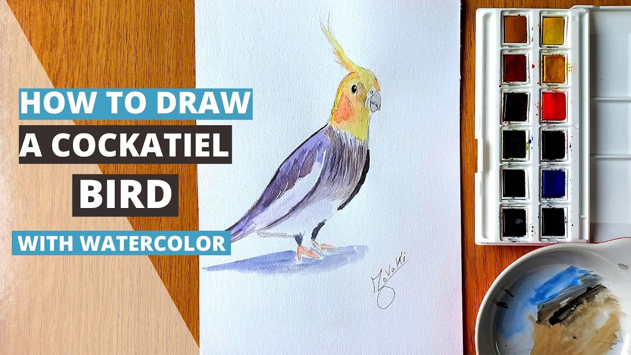 How to Draw a Cockatiel Bird - A Step-by-Step Guide with Watercolor ...