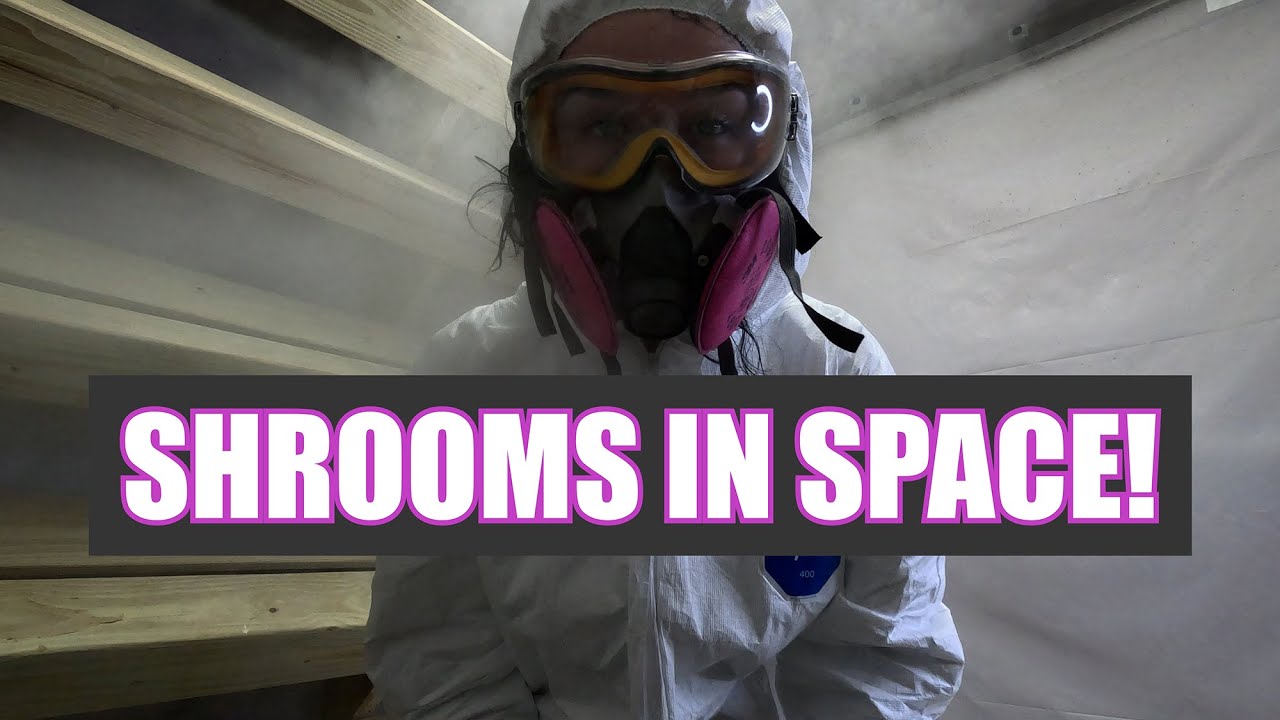 Shrooms In Space - YouTube