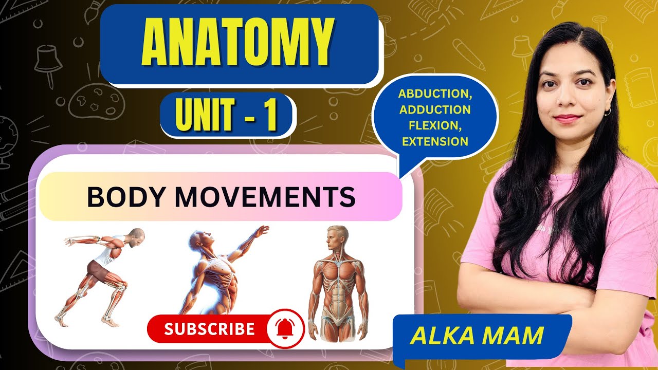 Body Movements in Human Anatomy | Flexion, Extension, Rotation & More ...