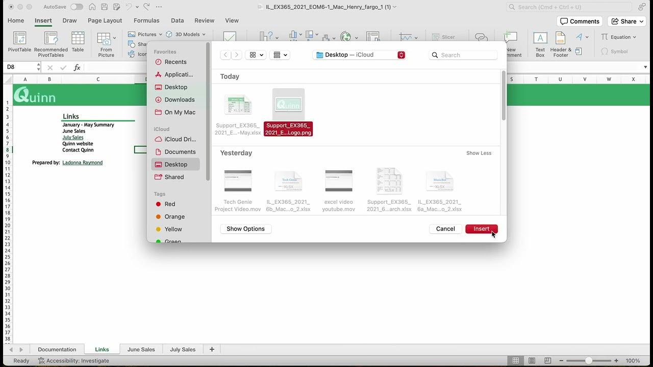 How to Add a Logo or Picture to the Background of an Excel Spreadsheet ...