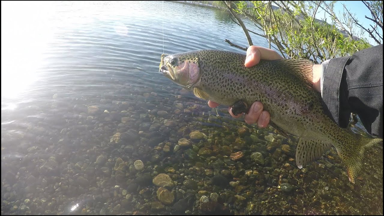 Fly Fishing Limay Medio. Pichi Picún Leufú. Patagonia Argentina - YouTube