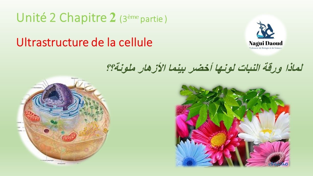 Biologie 1ère sec Unité 2 Chapitre 2 ultra-structure de la cellule ...
