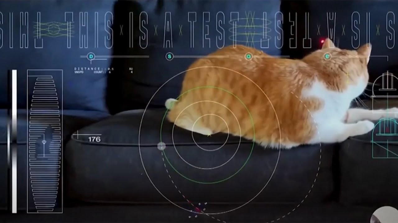Video of cat transmitted through space by NASA - YouTube