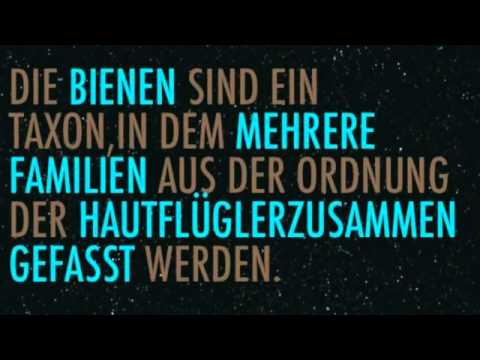 Bieneeeen Viedeoo :D