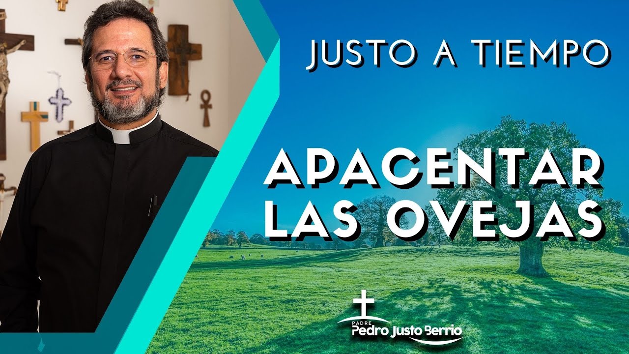 Apacentar las ovejas - Padre Pedro Justo Berrío - YouTube