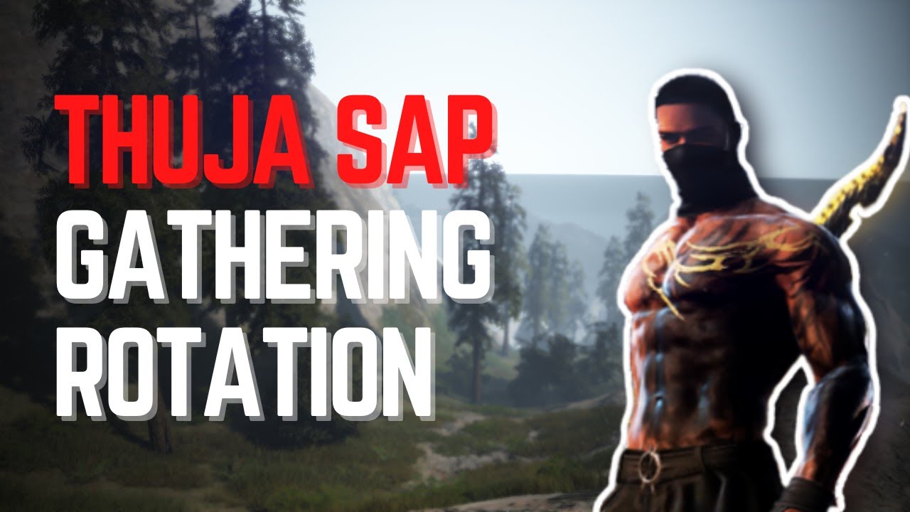 Best Thuja Sap Gathering Rotation in Black Desert (No Channel Hopping ...