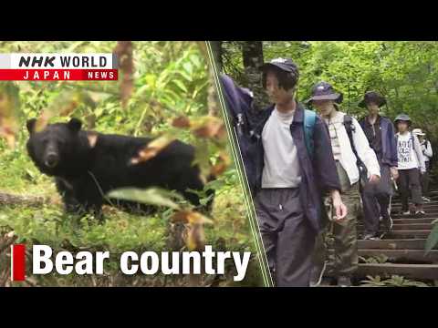 Bears and humans: Live and let liveーNHK WORLD-JAPAN NEWS