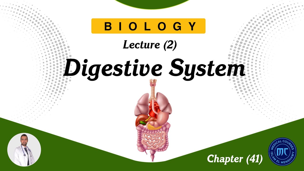 Lecture (2) - Digestive System - YouTube