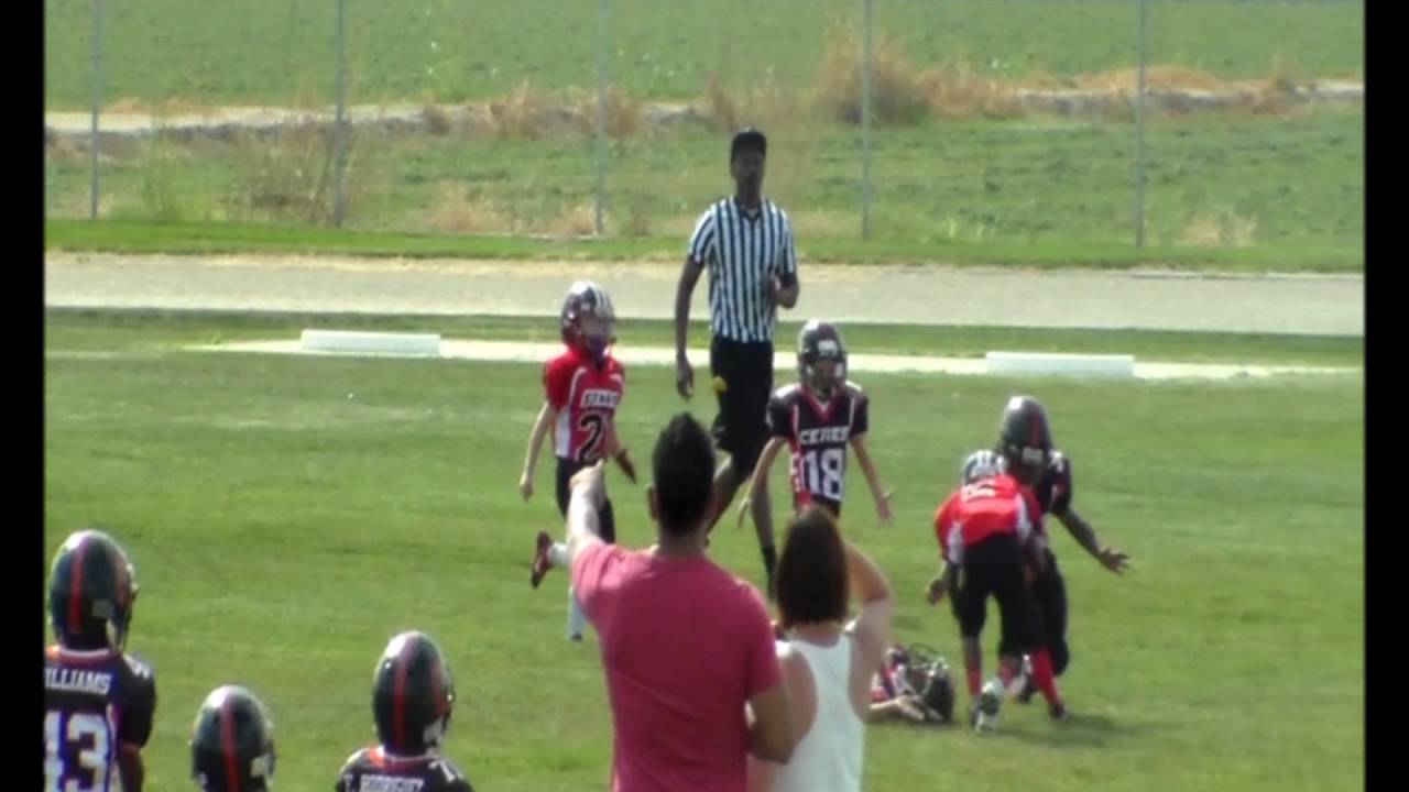Tarell Johnson #34 Beastmode 2014 MVP Valley Champion - YouTube