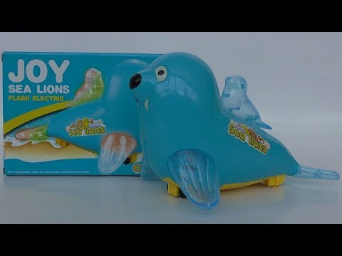 Joy Sea Lions ของเล่นเด็กสิงโตทะเล - YouTube