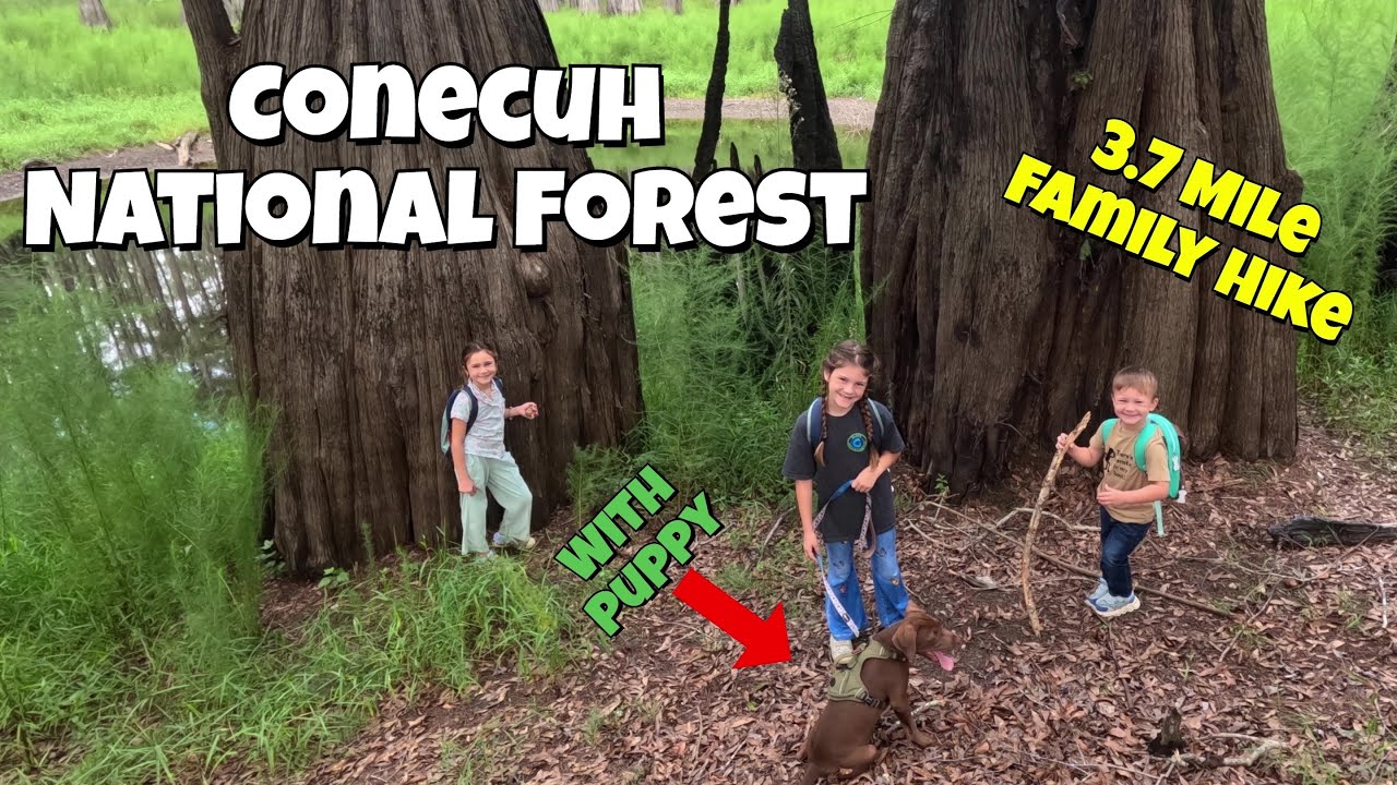Conecuh National Forest, Family Hiking and Exploring Mossy Pond and ...