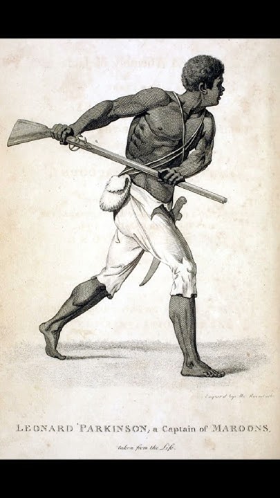 de Great Dismal Swamp Maroons aka Zambo Maroons, We Still Here⚔️. - YouTube