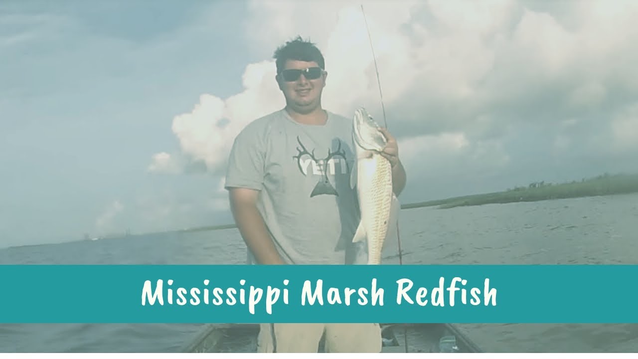 Mississippi marsh redfish - YouTube