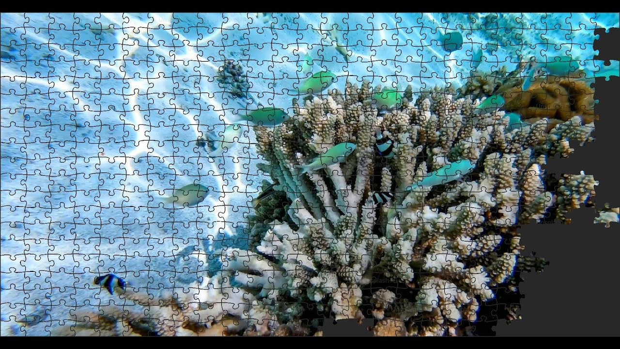 Coral Reef Puzzle Time Lapse 500pcs - YouTube