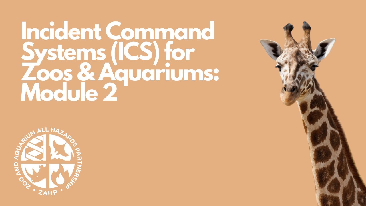 Incident Command System (ICS) for Zoos & Aquariums: Module 2 - YouTube