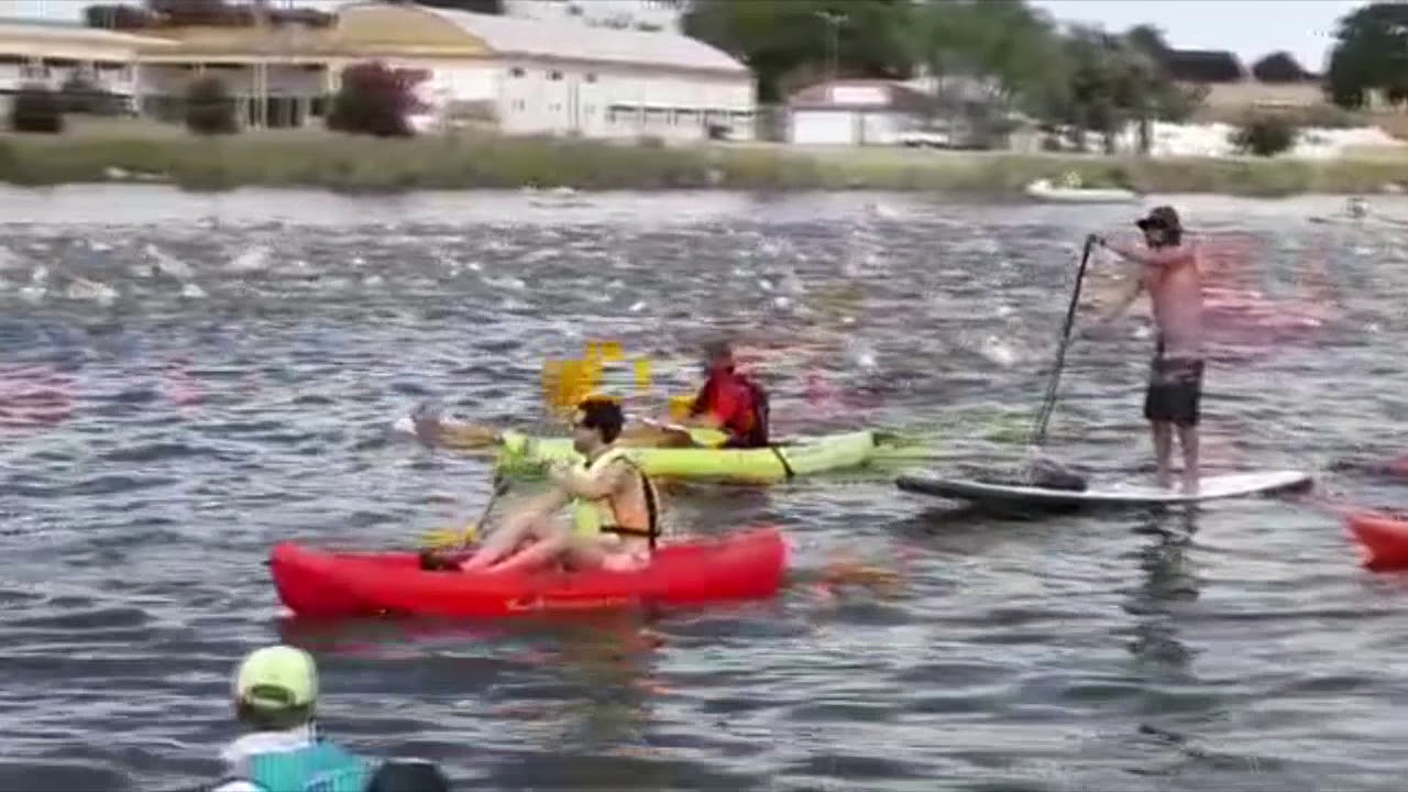 Natación: SE CORRIÓ LA “RIO.-MAR 2018” - YouTube