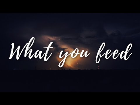 My Song - What you feed