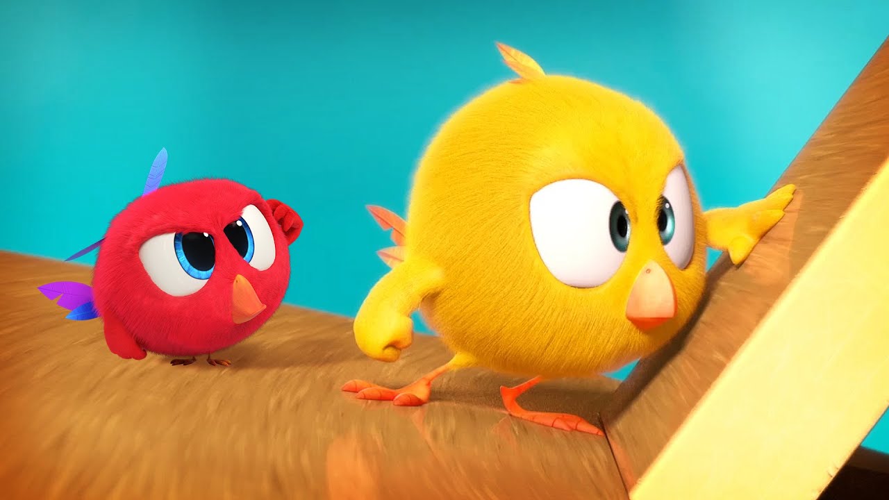 Where's Chicky? Funny Chicky 2022 | FATHER AND SON | Chicky Cartoon in ...