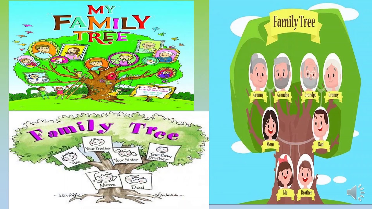 My home Grade 3 lesson 4 - YouTube