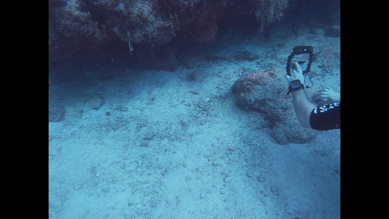 Donut Hole reef. Key Largo, Fl. - YouTube