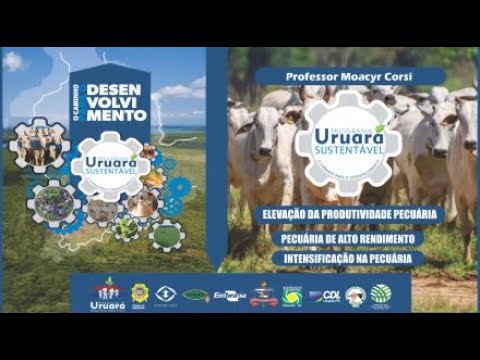 PALESTRA DO PROFESSOR MOACYR CORSI - PECUÁRIA DE ALTO RENDIMENTO - YouTube