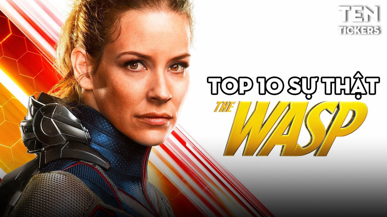 Bạn Đã Biết Gì Về CHIẾN BINH ONG? | ANT-MAN AND THE WASP: QUANTUMANIA | Ten Tickers - YouTube