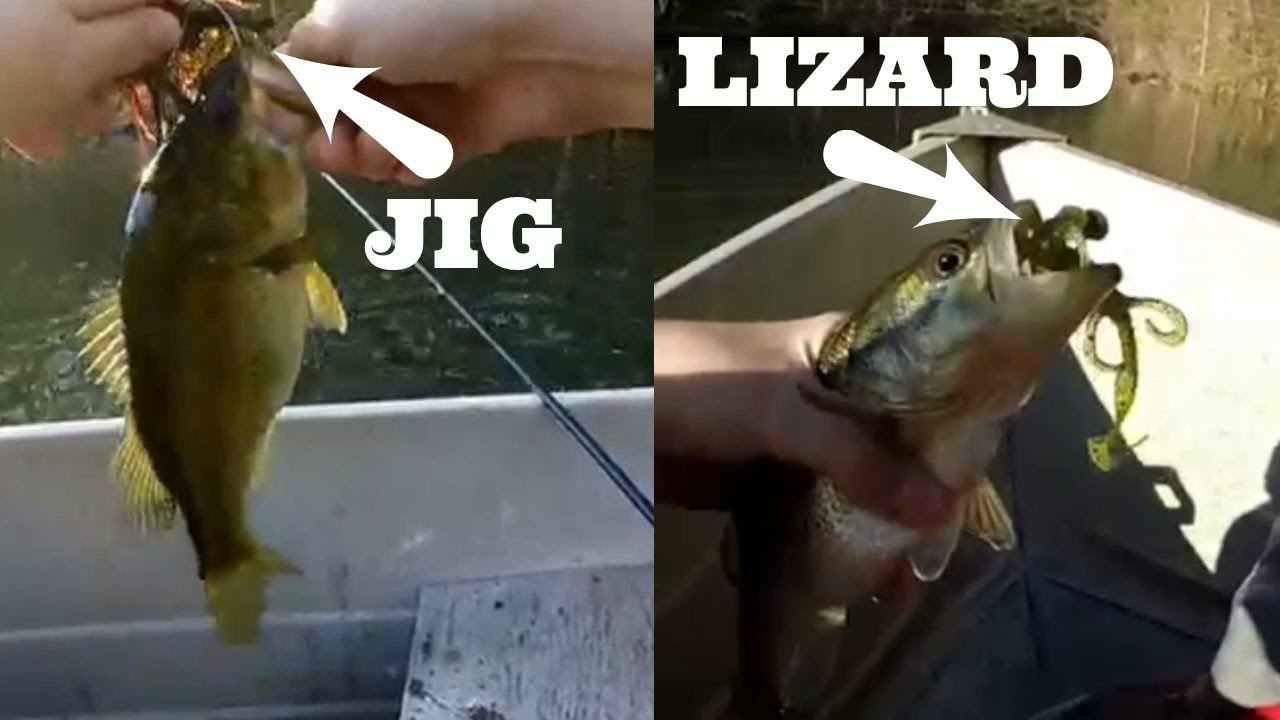 Lizards and Jigs SLAY Spring Bass! - YouTube
