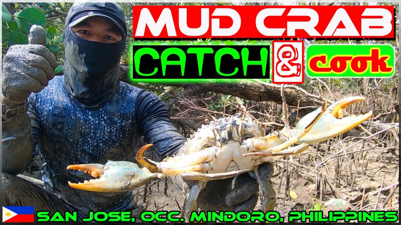 EP110-Part1 - Mud Crab Catch 'n Cook | Alimango at Sugpo w/ Sitaw at ...