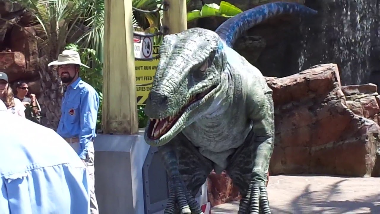Velociraptor at "Jurassic Park: The Ride" (2018) - YouTube