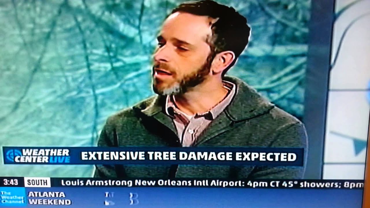 Trees Atlanta Co-Exec. Director Greg Levine on Tree Care for Icy ...