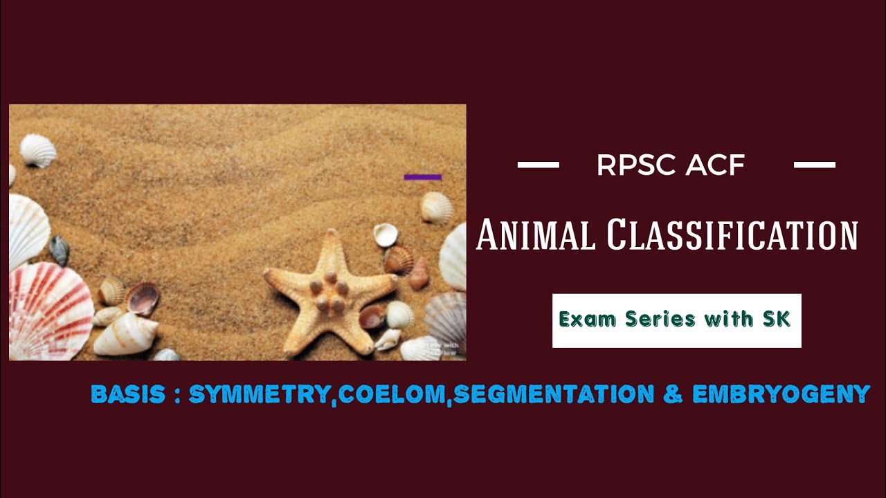 RPSC ACF ZOOLOGY //Animal Classification/Basis of Animal classification ...
