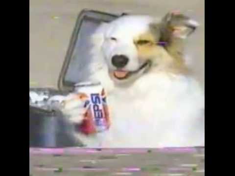 pepsi dog - YouTube