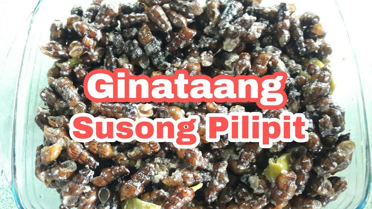 GINATAANG SUSONG PILIPIT VLOG 015 #GINATAANGSUSONGPILIPIT # ...