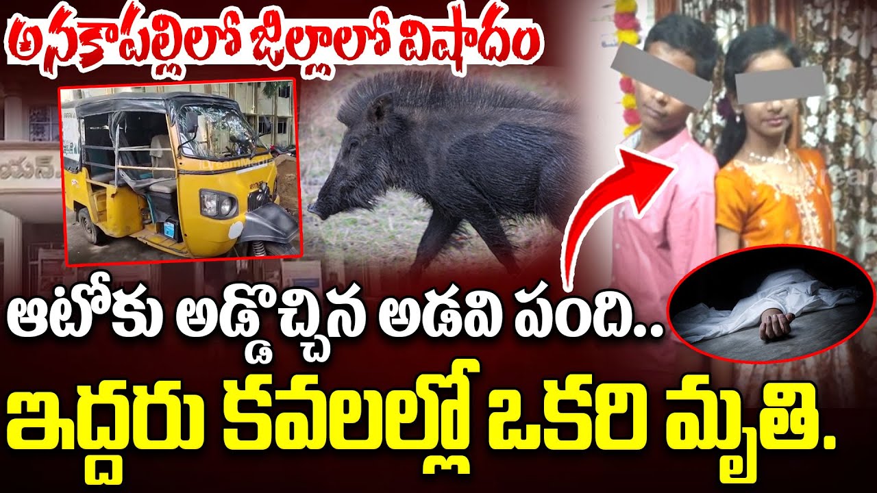 అడ్డొచ్చిన అడవి పంది..ఒకరి మృతి | Anakapalli Brother And Sister ...