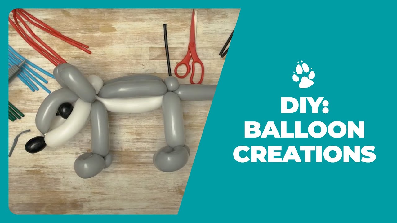 Let’s Make 3 Balloon Creations - YouTube