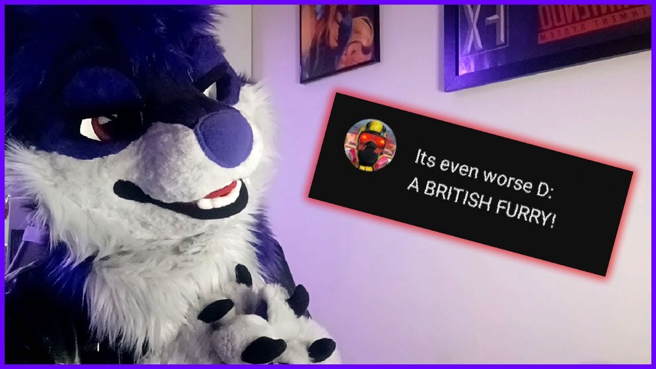Roasting Your Furry Haters! 🔥 - YouTube