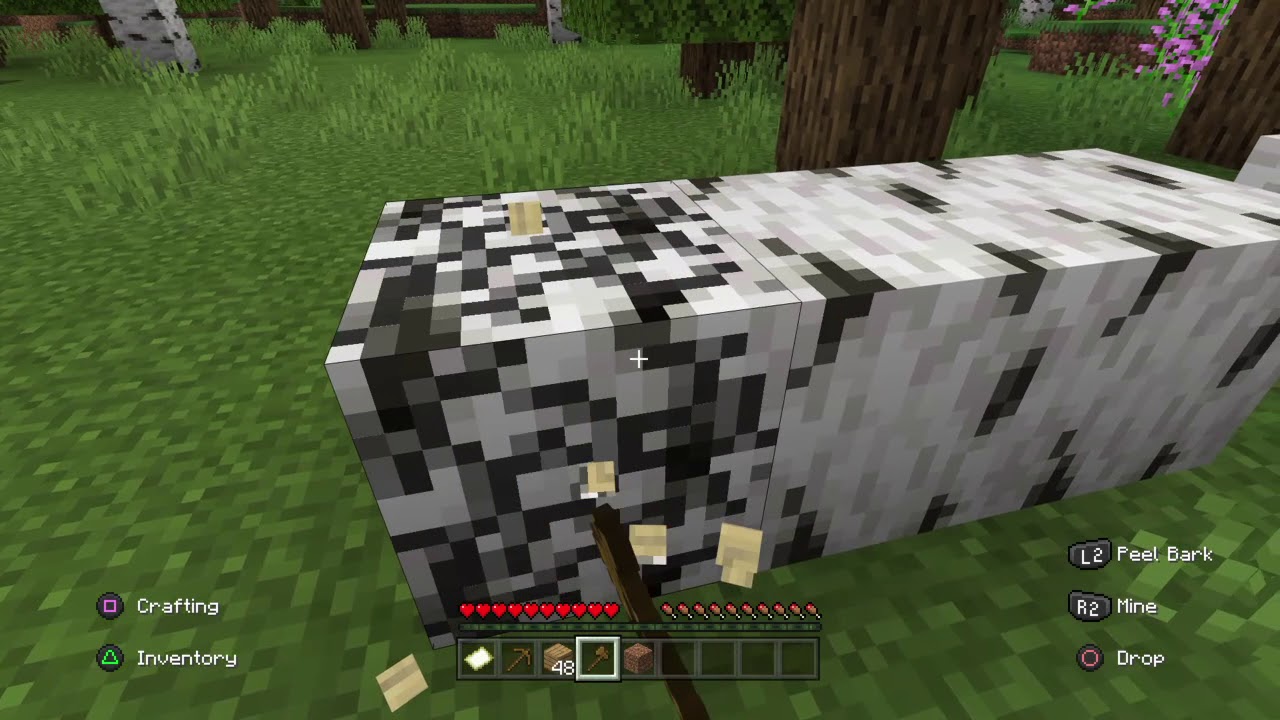 Minecraft you die the video ends - YouTube